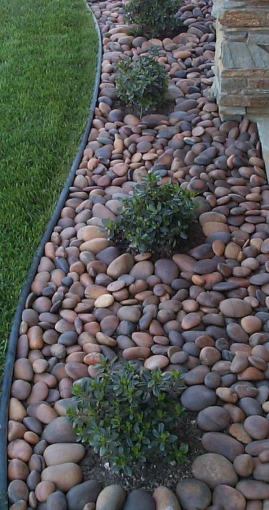 21 Inspiring Rock Garden Ideas and How to Build Your Own
