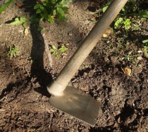 Gardening Hoes Buyer's Guide & How to Master a Hoe