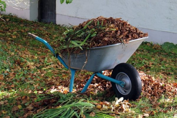 7 Best Garden Wheelbarrows Reviewed with Easy Guide