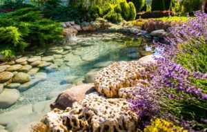 23 Great Landscaping Rocks Ideas and Rock Types Explained