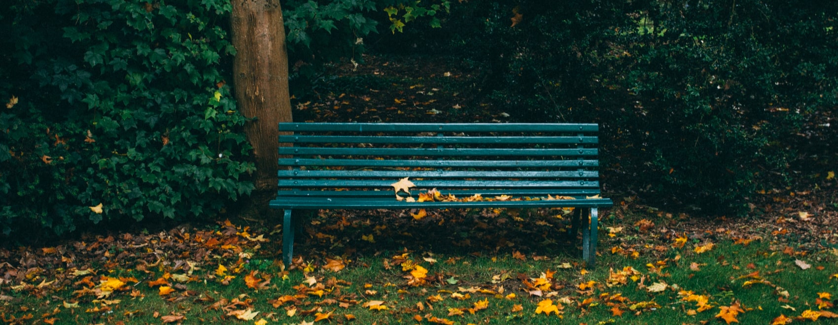 15 Great Garden Bench Ideas and Designs for Your Garden