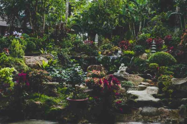 21 Magical Secret Garden Designs for Your Perfect Getaway