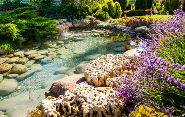 21 Inspiring Rock Garden Ideas and How to Build Your Own