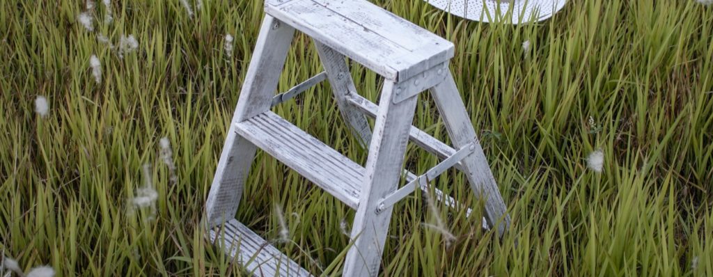 100 Landscaping Ideas for Front Yards and Backyards