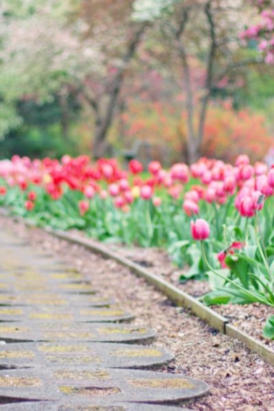 21 Magical Secret Garden Designs for Your Perfect Getaway