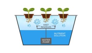 Aeroponics: The Definitive Guide to Get Started with Aeroponic Systems