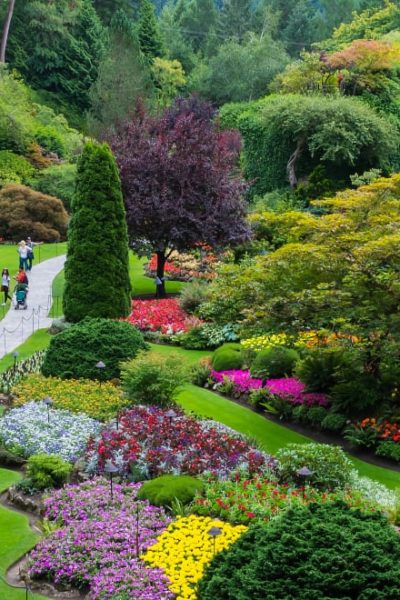 31 Best Garden Rocks & Tips on Choosing Rocks for Gardens