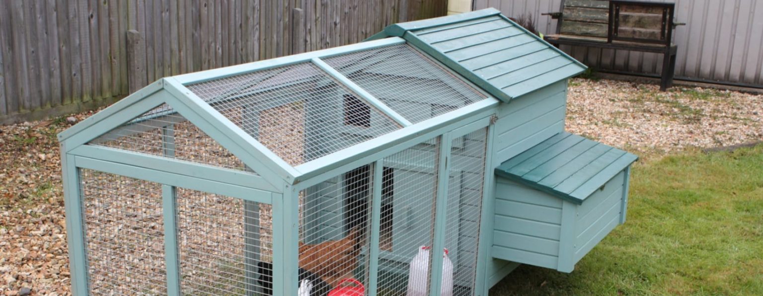 The Definitive Chicken Coop Guide for Growing Happy Chickens DIY Style