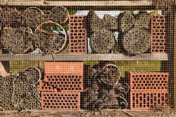 Bees Houses: an Easy Guide & How to Build a Bees House DIY