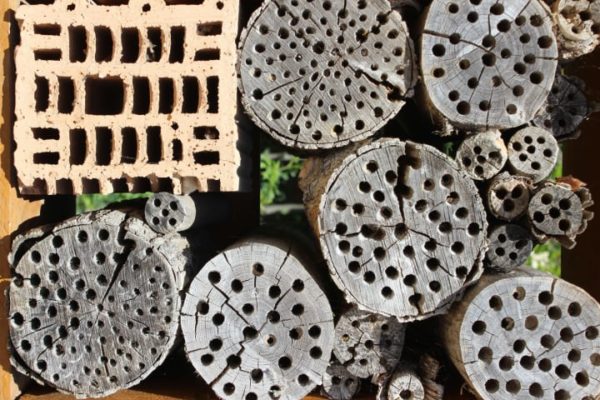 Bees Houses: an Easy Guide & How to Build a Bees House DIY