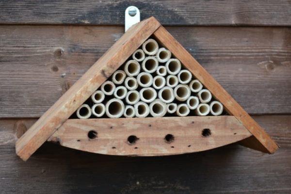 Bees Houses: an Easy Guide & How to Build a Bees House DIY