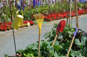 Gardening Hoes Buyer's Guide & How to Master a Hoe