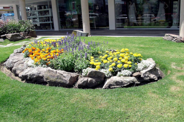 31 Best Garden Rocks & Tips on Choosing Rocks for Gardens