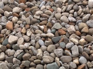 Rock Gardening Easy Guide & 5 Tips to Rock Your Garden