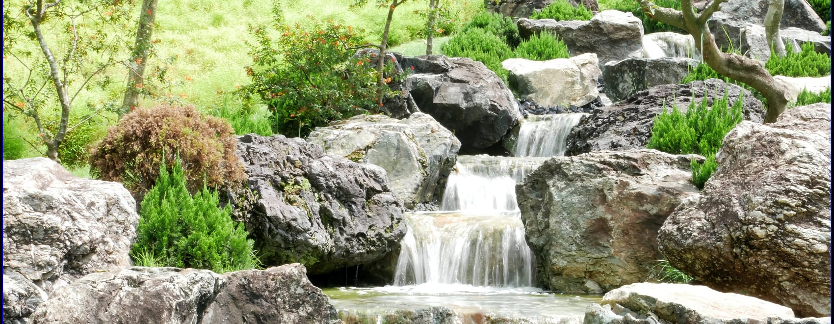 Rock Gardening Easy Guide & 5 Tips to Rock Your Garden