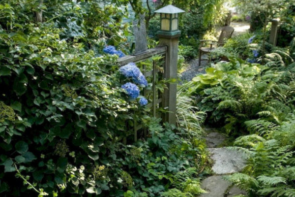 31 Best Garden Rocks & Tips on Choosing Rocks for Gardens