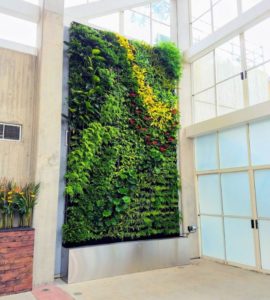 41 Awesome Plant Wall Ideas & How to Build a DIY Plant Wall