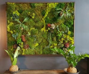 41 Awesome Plant Wall Ideas & How to Build a DIY Plant Wall
