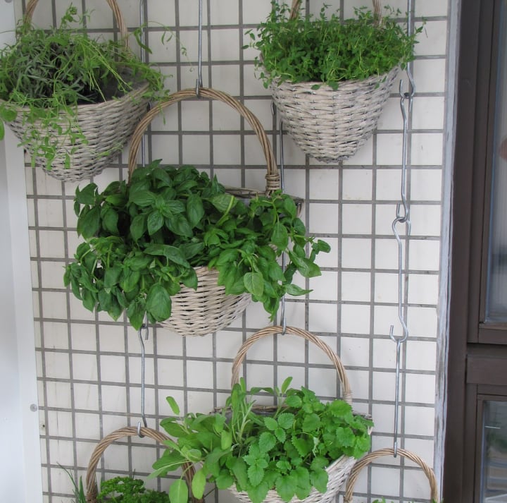 41 Awesome Plant Wall Ideas & How to Build a DIY Plant Wall