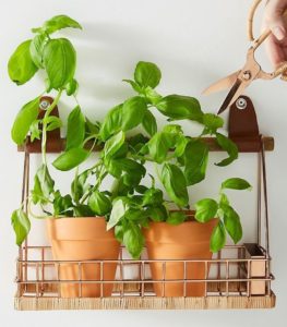 33 Best Herb Garden Ideas & How to Start a Herb Garden