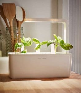 33 Best Herb Garden Ideas & How to Start a Herb Garden