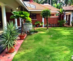 35 Best Terrace Gardening Ideas & Terrace Garden Easy Guide