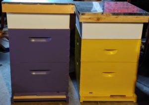 Bee Hives 101: Learn How to Select & Build the Best Beehives