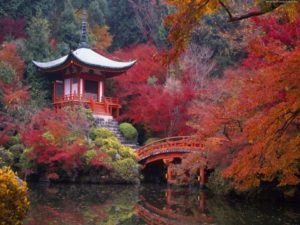 45 Wonderful Japanese Gardens Ideas and Designs You'll Love