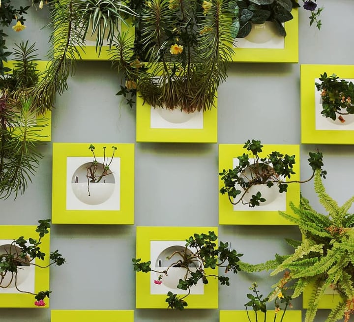 41 Awesome Plant Wall Ideas & How to Build a DIY Plant Wall