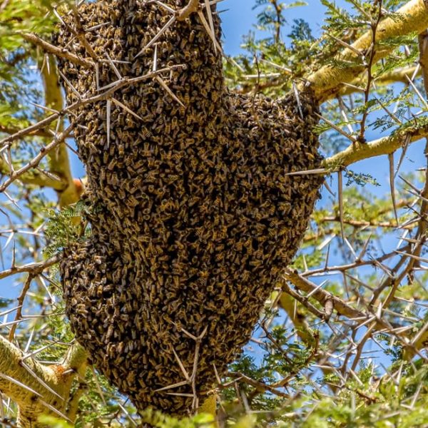 Planted Well - Your guide in the garden