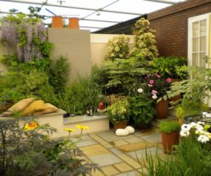 35 Best Terrace Gardening Ideas & Terrace Garden Easy Guide