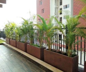 35 Best Terrace Gardening Ideas & Terrace Garden Easy Guide