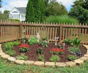 15 Easy Butterfly Garden Ideas & Butterfly Garden Guide