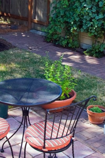 Gardening Hoes Buyer's Guide & How to Master a Hoe Gardening Hoes Buyer's Guide & How to Master a Hoe