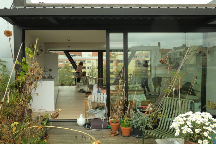 35 Best Terrace Gardening Ideas & Terrace Garden Easy Guide