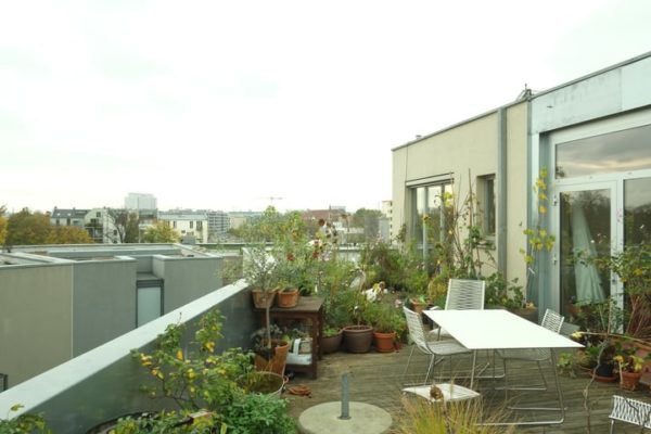 35 Best Terrace Gardening Ideas & Terrace Garden Easy Guide