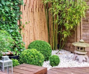 31 Authentic Zen Garden Ideas to Bring Calm to Your Life