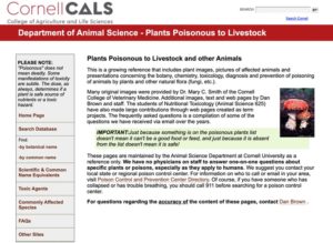 37 Best Gardening Websites & Blogs to Become a Garden Expert