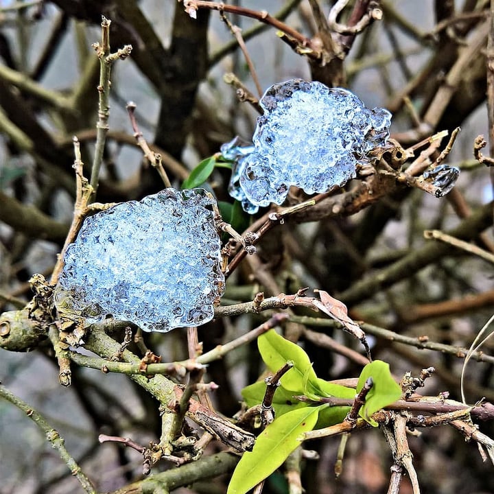 27 Spring Gardening Ideas and Tips with Checklist for 2022