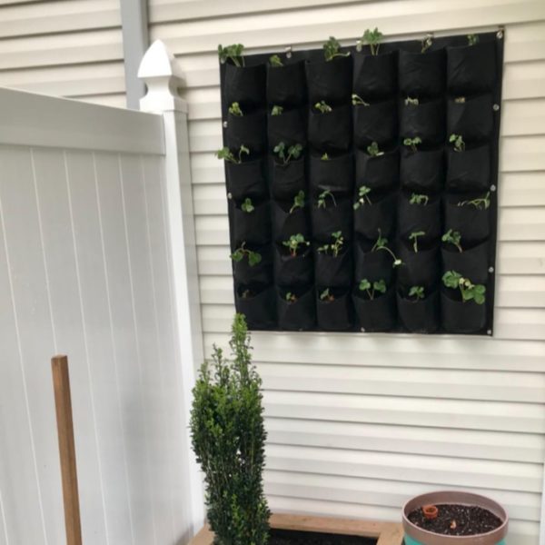 Planted Wall Ultimate Guide: 47 Cool Ways to Do a Plant Wall