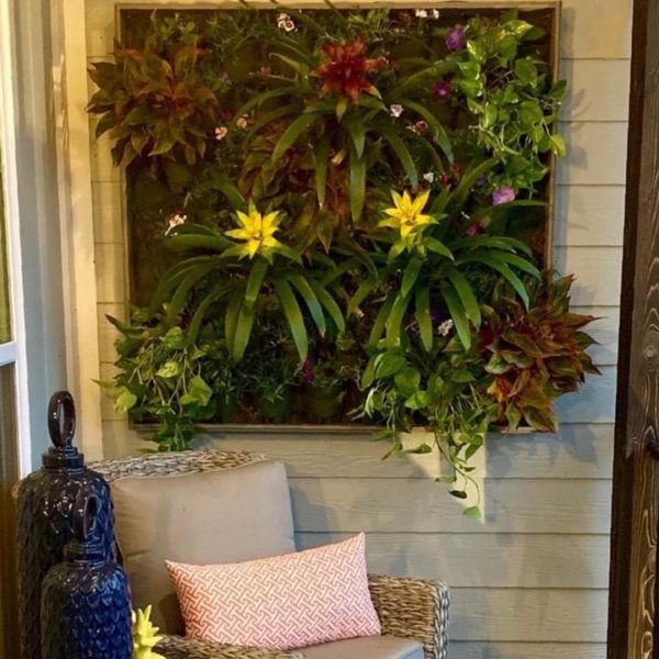 Planted Wall Ultimate Guide: 47 Cool Ways to Do a Plant Wall