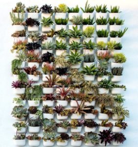 Planted Wall Ultimate Guide: 47 Cool Ways to Do a Plant Wall
