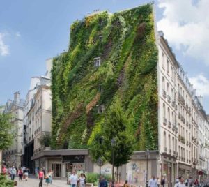 Planted Wall Ultimate Guide: 47 Cool Ways to Do a Plant Wall