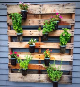 Planted Wall Ultimate Guide: 47 Cool Ways to Do a Plant Wall