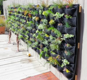 Planted Wall Ultimate Guide: 47 Cool Ways to Do a Plant Wall