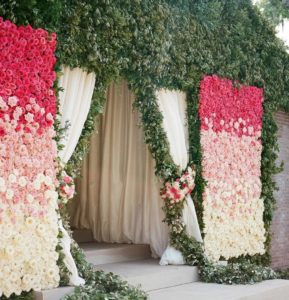 Planted Wall Ultimate Guide: 47 Cool Ways to Do a Plant Wall