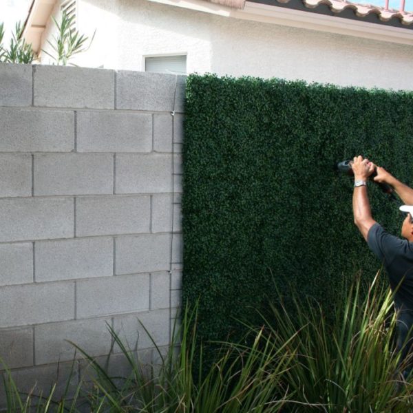 Planted Wall Ultimate Guide: 47 Cool Ways to Do a Plant Wall