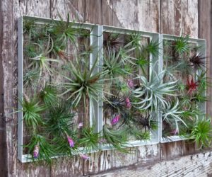 Planted Wall Ultimate Guide: 47 Cool Ways to Do a Plant Wall