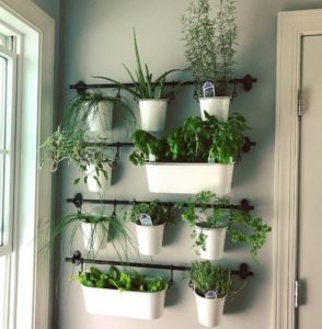 Planted Wall Ultimate Guide: 47 Cool Ways to Do a Plant Wall