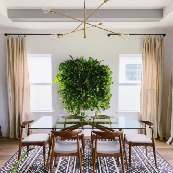 Planted Wall Ultimate Guide: 47 Cool Ways to Do a Plant Wall